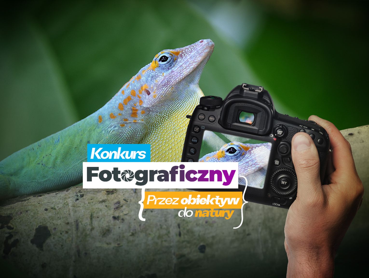 Śląskie ZOO zachęca do uchwycenia natury w kadrze! Wystartował konkurs ...